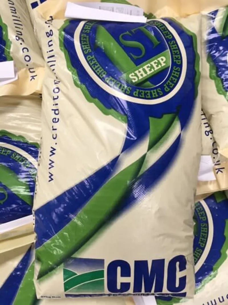 Traditional Ewe Nuts 18